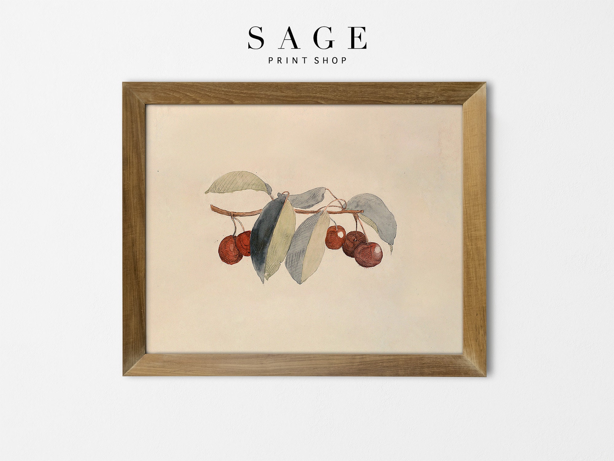 Cherry Print | Botanical Wall Art | Cherry Branch Vintage Watercolor ...