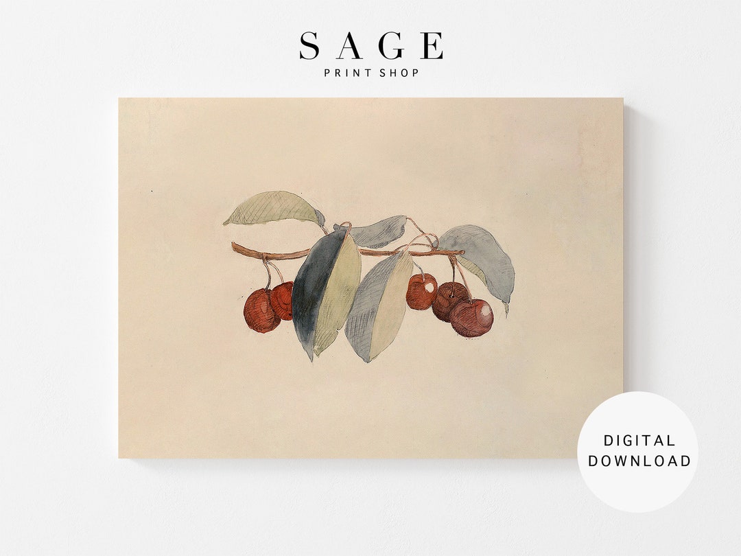 Cherry Print | Botanical Wall Art | Cherry Branch Vintage Watercolor ...