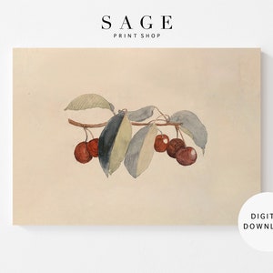 Cherry Print | Botanical Wall Art | Cherry Branch Vintage Watercolor ...