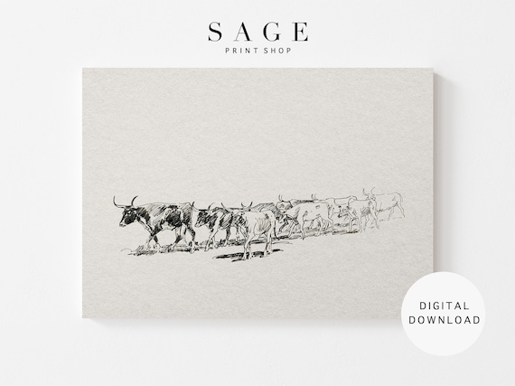 Longhorns Vintage Drawing Herd of Cattle Sketch PRINTABLE | Etsy