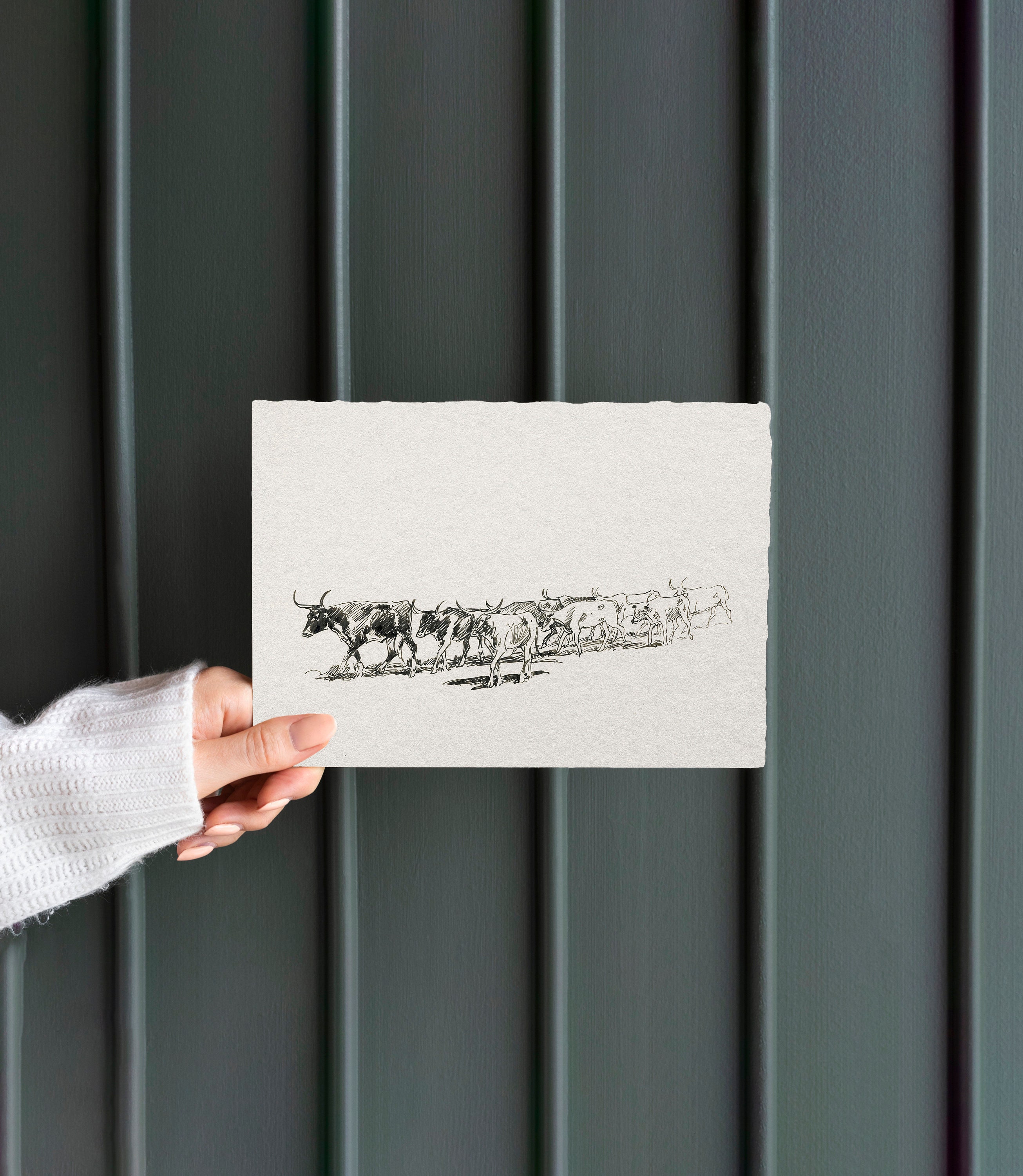 Longhorns Vintage Drawing Herd of Cattle Sketch PRINTABLE - Etsy