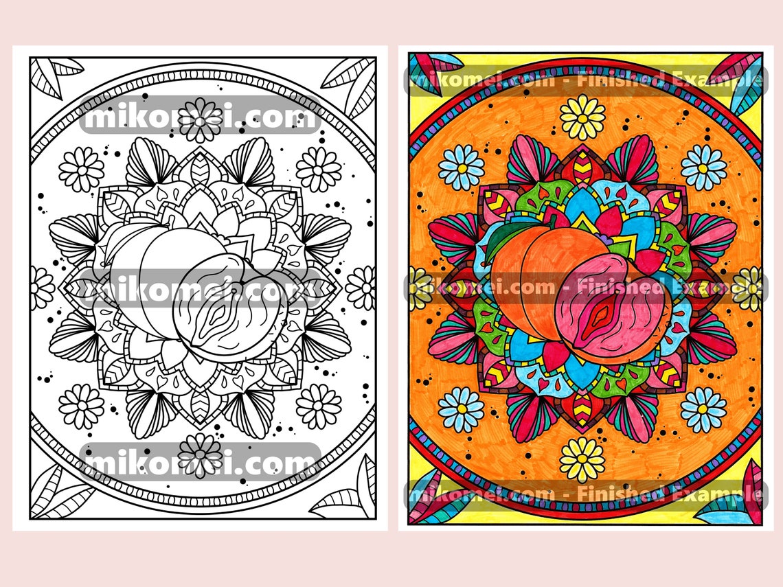 Sexual Anatomy Coloring Book : 30-page PDF - Etsy