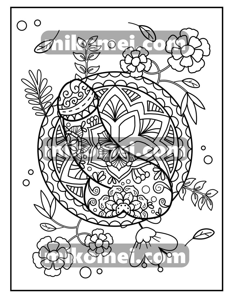 Sexual Anatomy Coloring Book : 30-page PDF - Etsy