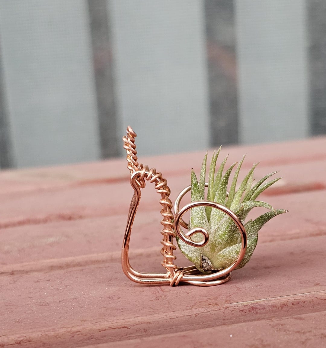 Snail Frame Wire Frame Air Plant Holder Mindfulness Gift Decorative ...