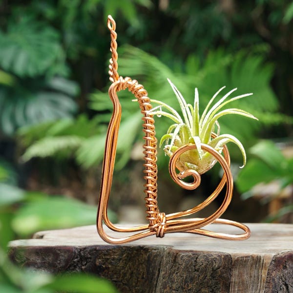 Air Plant Wire - Etsy