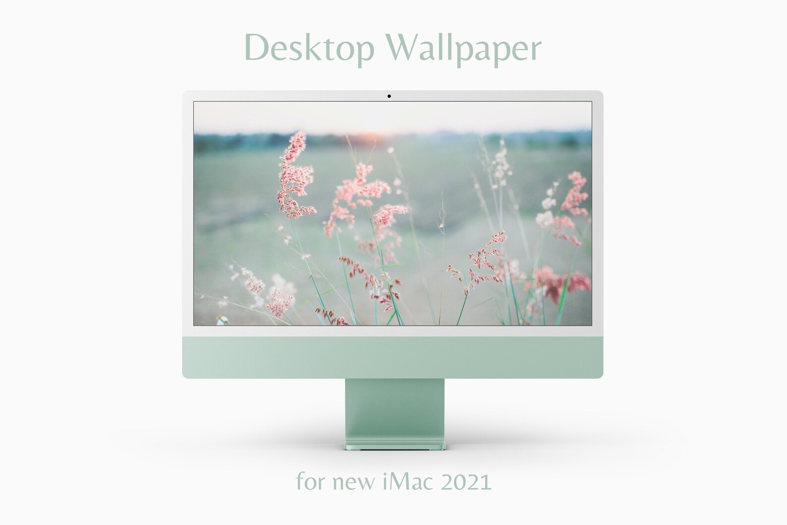 Green Mac Desktop Wallpaper New Imac 2021 Background Mac - Etsy