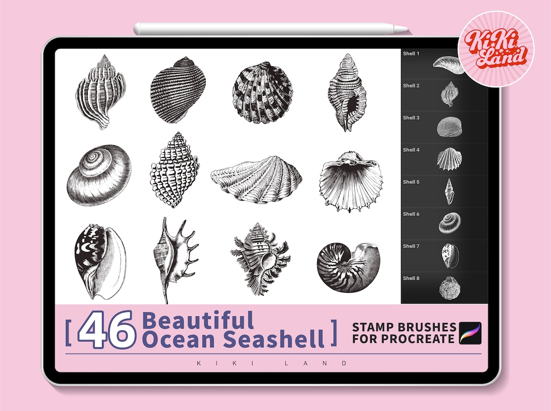 46 Procreate Seashell Stamps Brush Set | Seashell Ocean Beach Themed ...