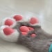 Puffy 4 Fingered Mochi Paw Digital Pattern (PDF DOWNLOAD) - Etsy