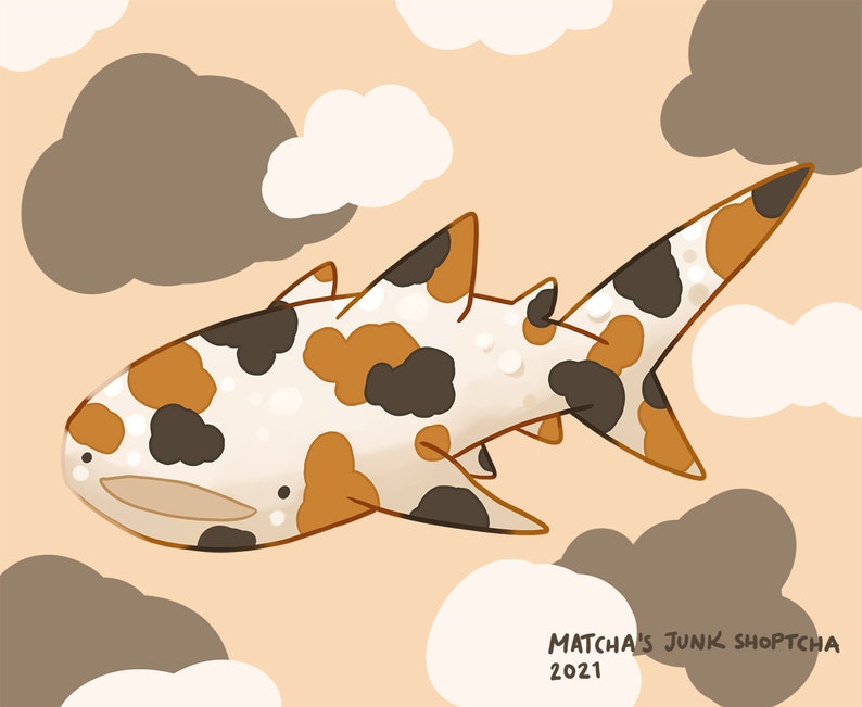 Calico Whale Shark | Glossy Sticker / Kawaii Bujo Planner Stickers ...