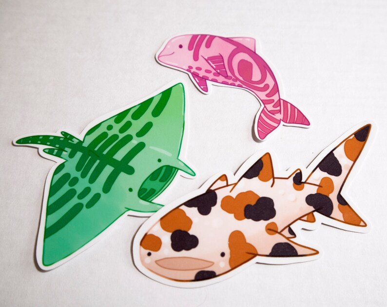 Calico Whale Shark | Glossy Sticker / Kawaii Bujo Planner Stickers ...