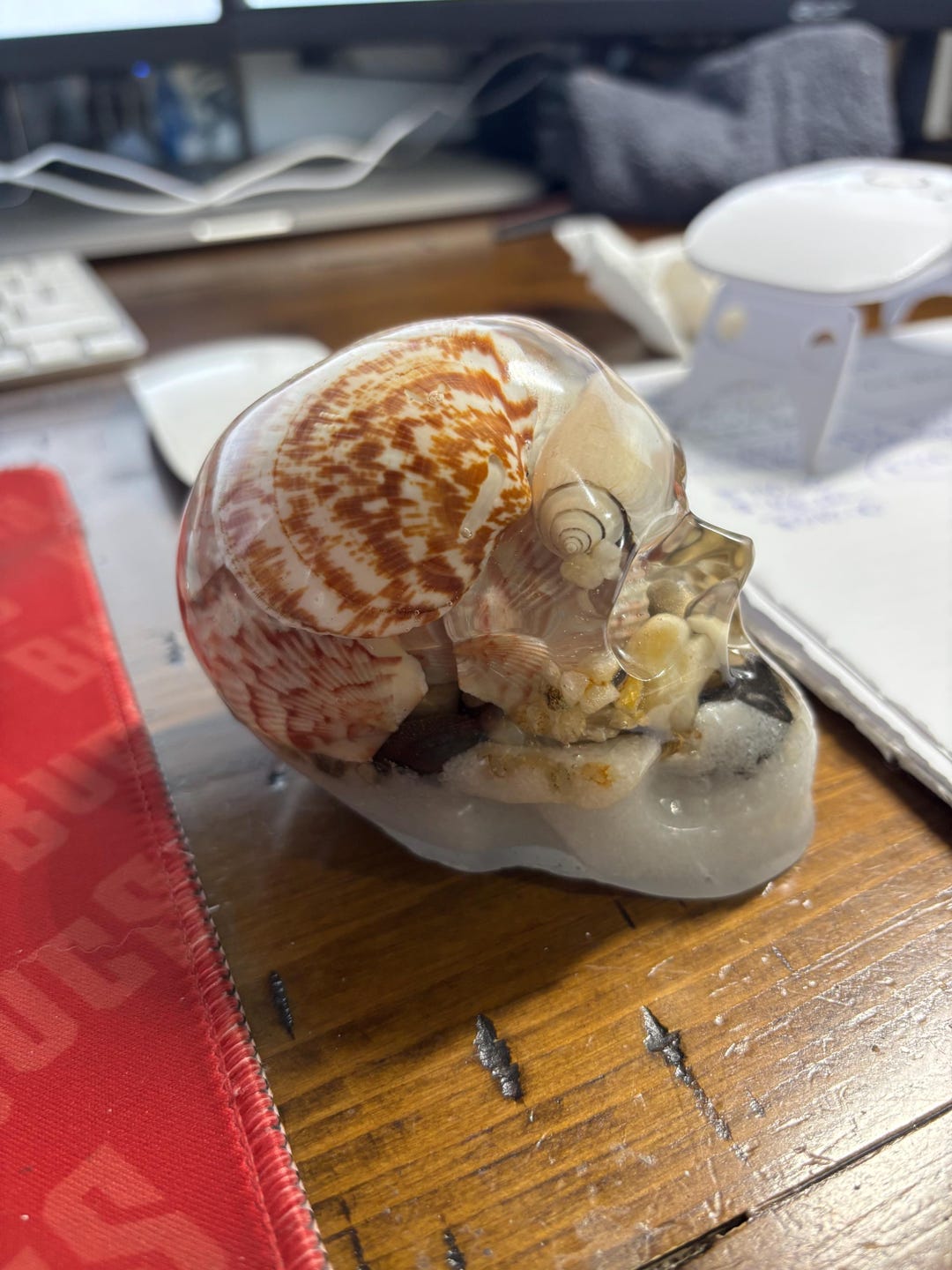 Resin Seashell Skull – Beach Decor for Summerween | Handmade Coastal ...