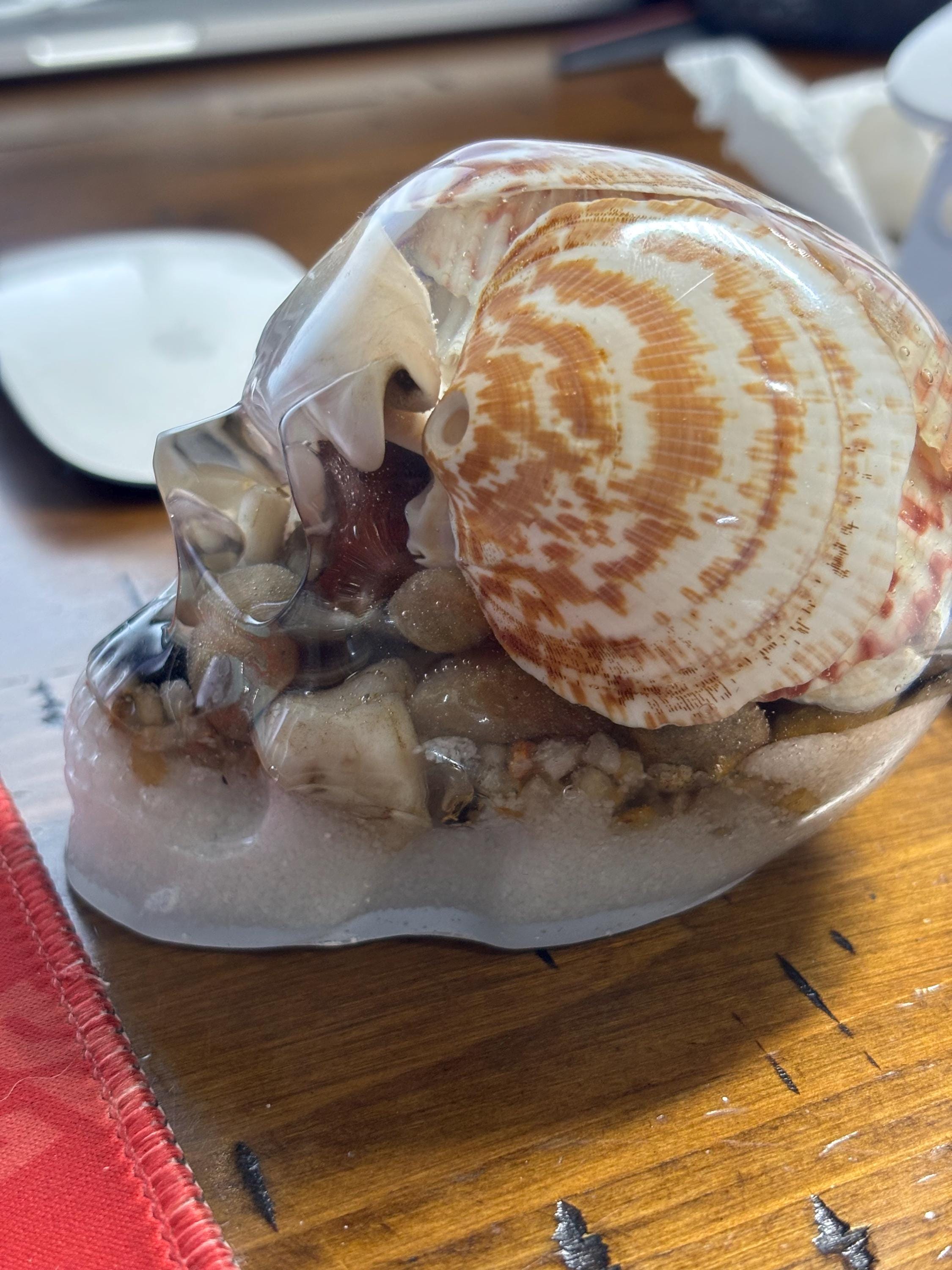 Resin Seashell Skull – Beach Decor for Summerween | Handmade Coastal ...