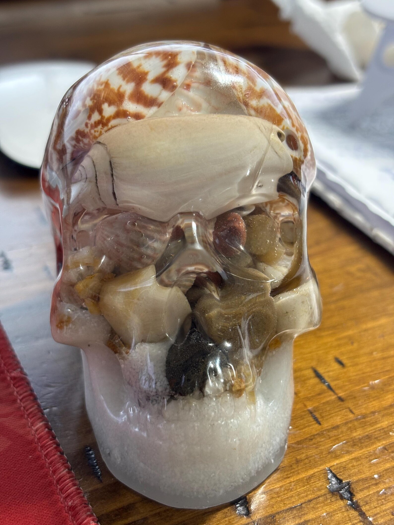 Resin Seashell Skull – Beach Decor for Summerween | Handmade Coastal ...