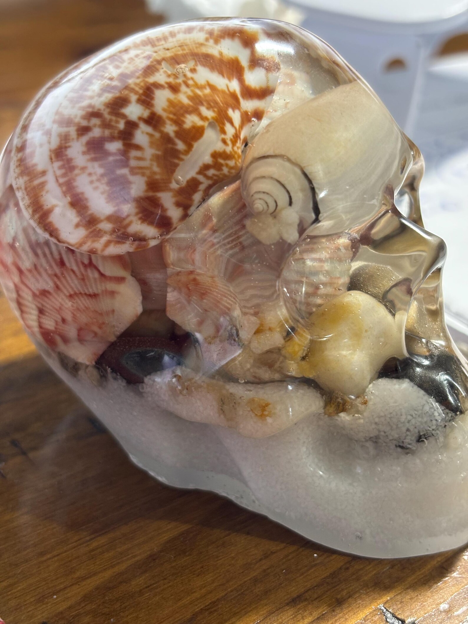 Resin Seashell Skull – Beach Decor for Summerween | Handmade Coastal ...