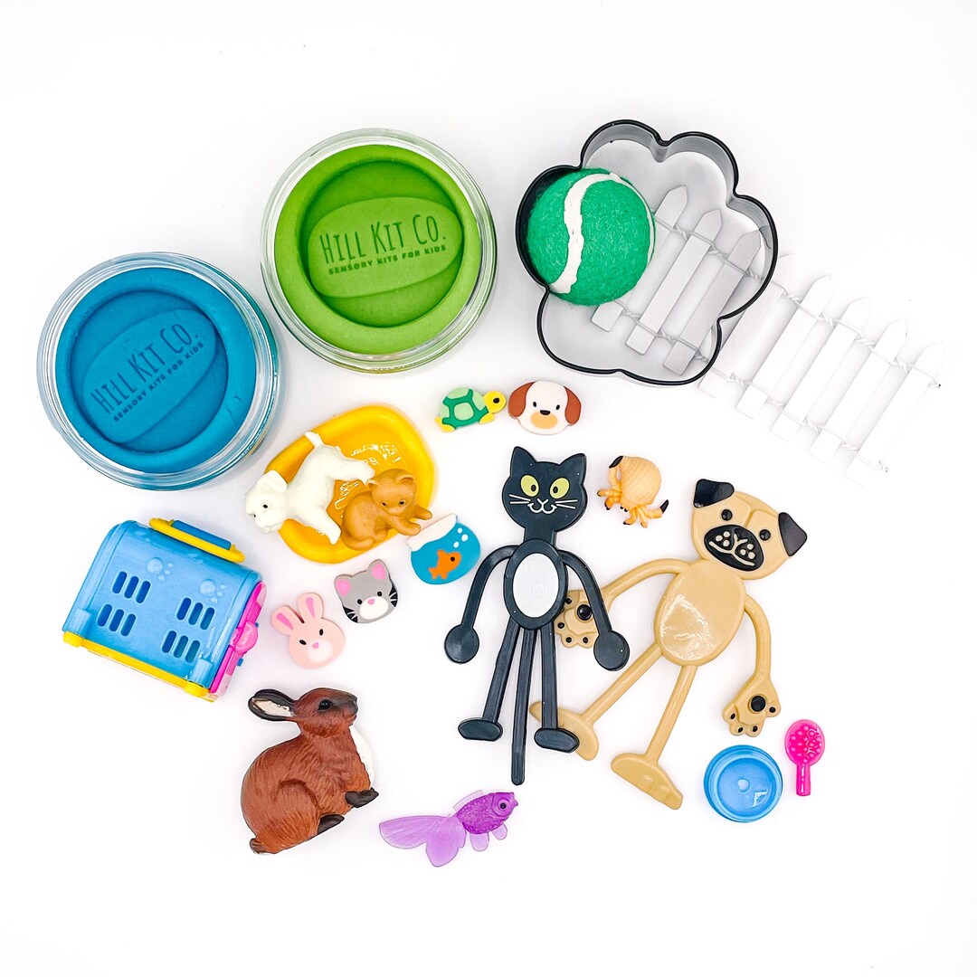 PETS Play Dough Kit; Sensory Kit; Kid's Gift - Etsy