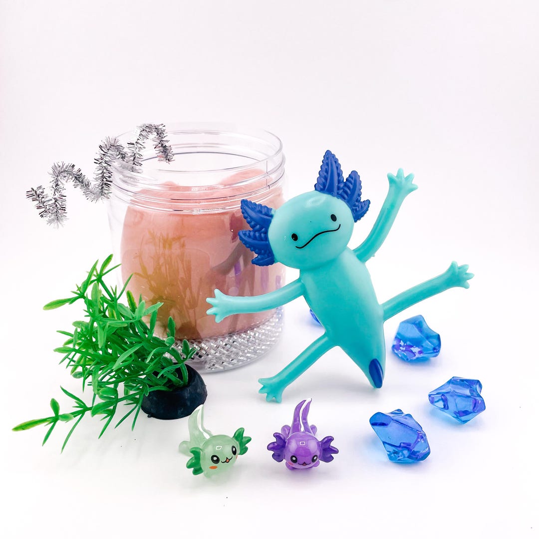 Tiny To-go Axolotl Play Dough Kit - Etsy New Zealand