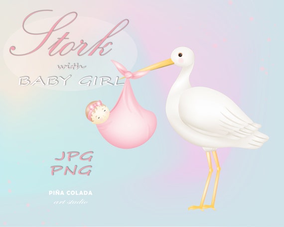 Stork With Baby Girl Clipart Baby Shower DIY Digital PNG - Etsy Canada