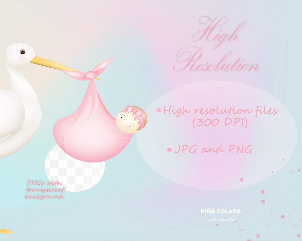 Stork With Baby Girl Clipart Baby Shower DIY Digital PNG - Etsy