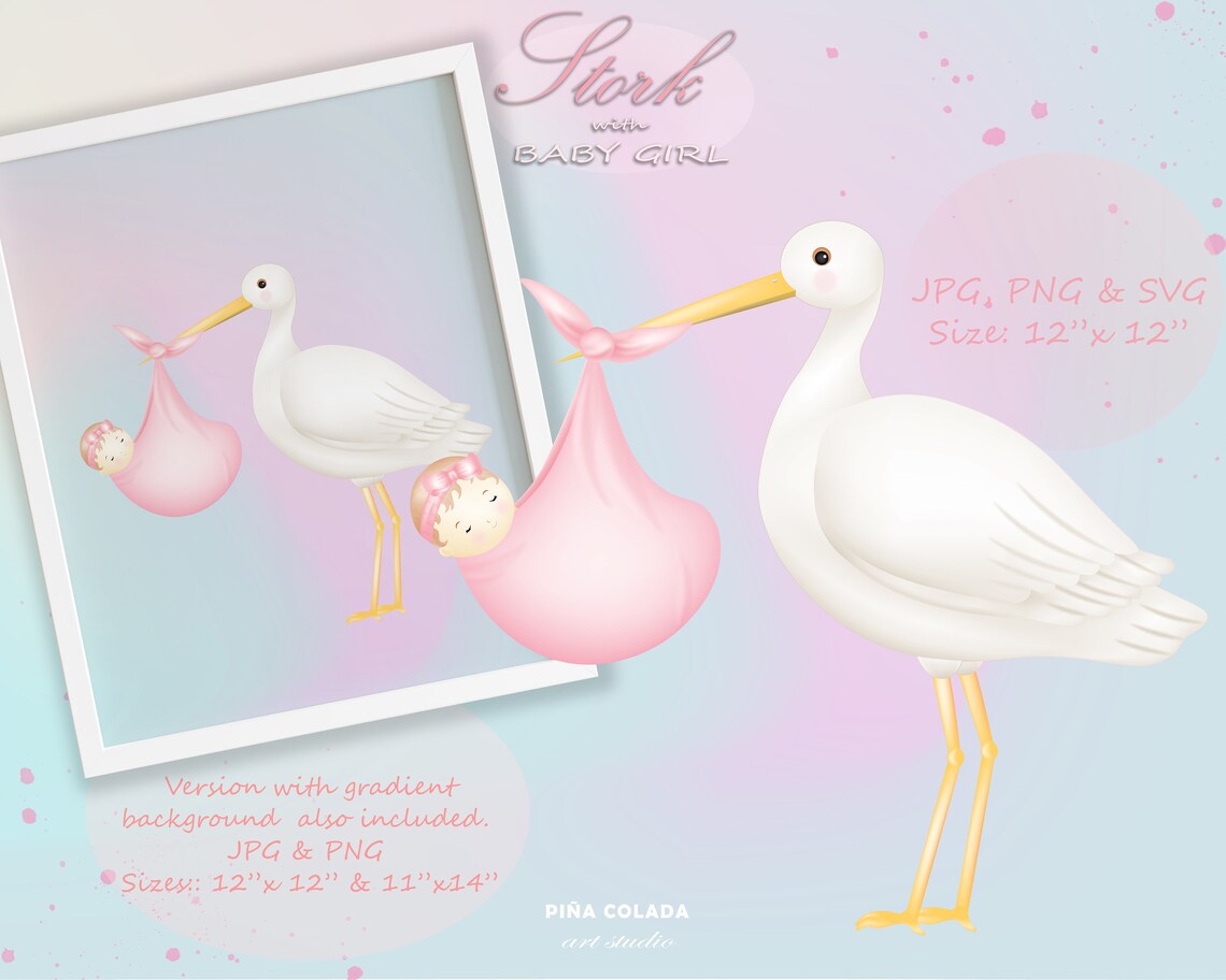 Stork With Baby Girl Clipart Baby Shower DIY Digital PNG - Etsy
