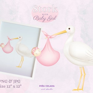 Stork With Baby Girl Clipart - Baby Shower, DIY, Digital, PNG - Etsy