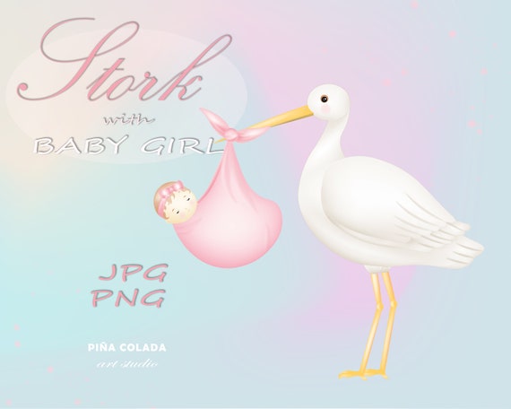 Stork With Baby Girl Clipart Baby Shower DIY Digital PNG - Etsy