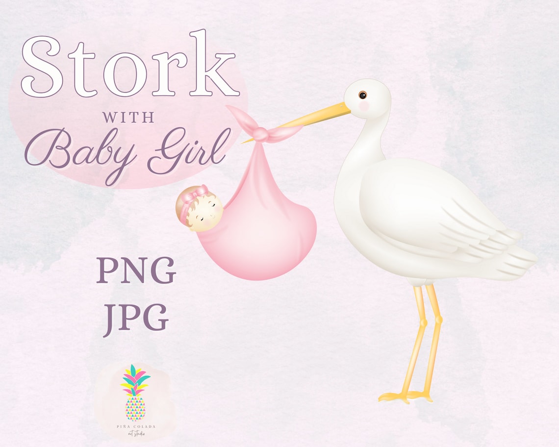 Stork With Baby Girl Clipart - Baby Shower, DIY, Digital, PNG - Etsy