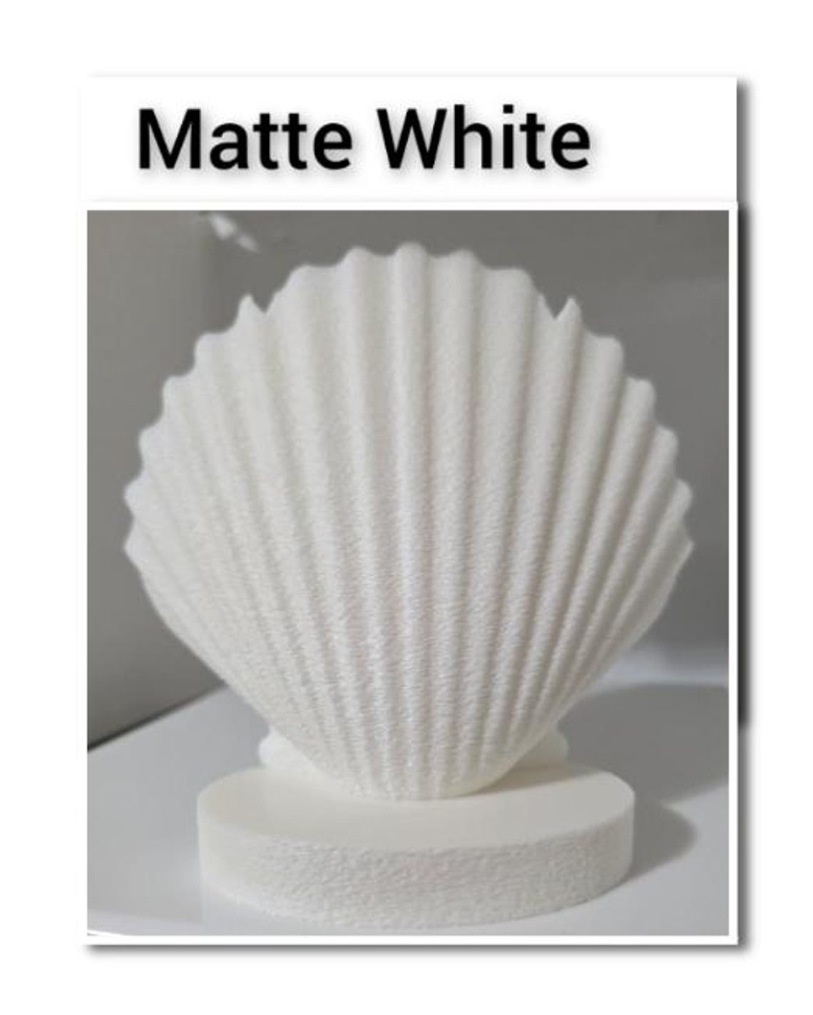 Clam Sea Shell Custom Necklace Display Holder I Jewelry - Etsy