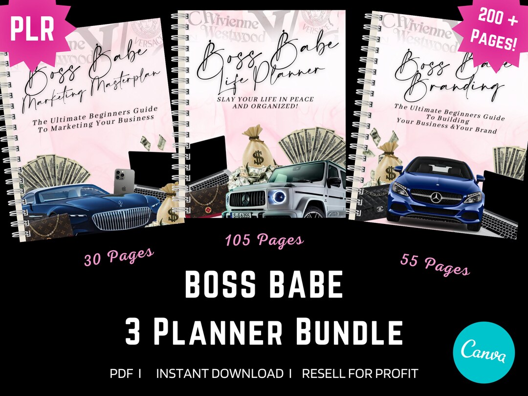 3 NEW Boss Babe Bundle Planner, MRR - PLR Planner, 2025 & 2026 Digital ...