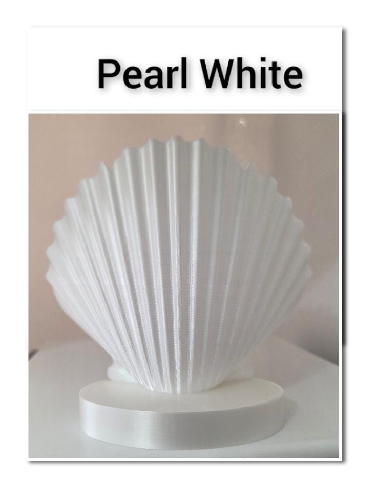 Clam Sea Shell Custom Necklace Display Holder I Jewelry - Etsy