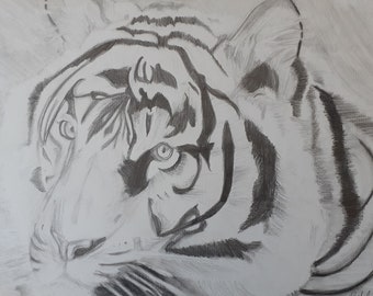 Pencil Drawing Print Tiger Eyes - Etsy