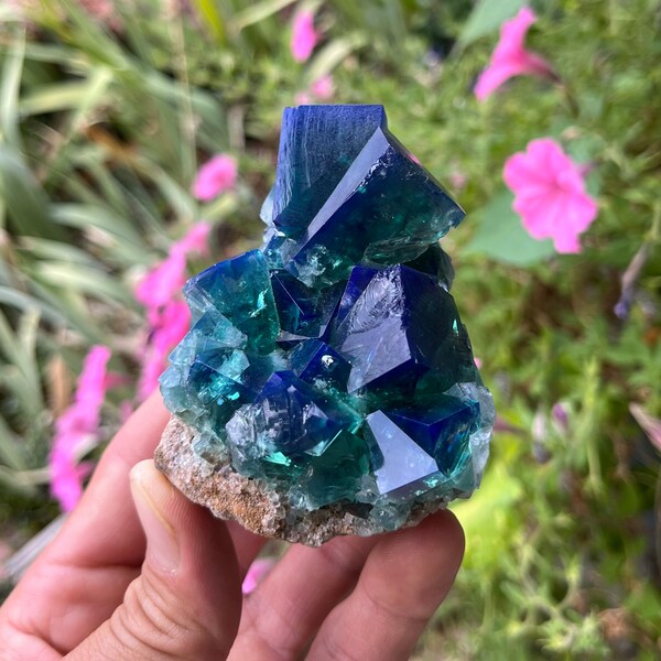 Fluorite Cluster - Etsy