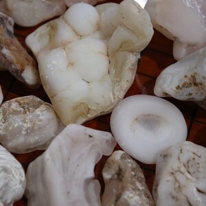 Arizona White Agates Fire Agates Saddleback Mountain Agates - Etsy
