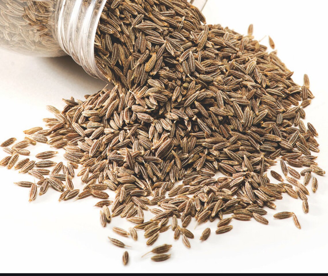 Whole Cumin Jeera Seeds Premium South India Quality Sun Dried | Etsy