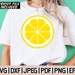 Lemon Slice PNG, Citrus Fruit SVG, Lemon Layered Slice Svg, Summer ...