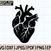 Anatomical Heart Svg, Heart Svg,cardiologist Svg,human Heart Clip Art ...