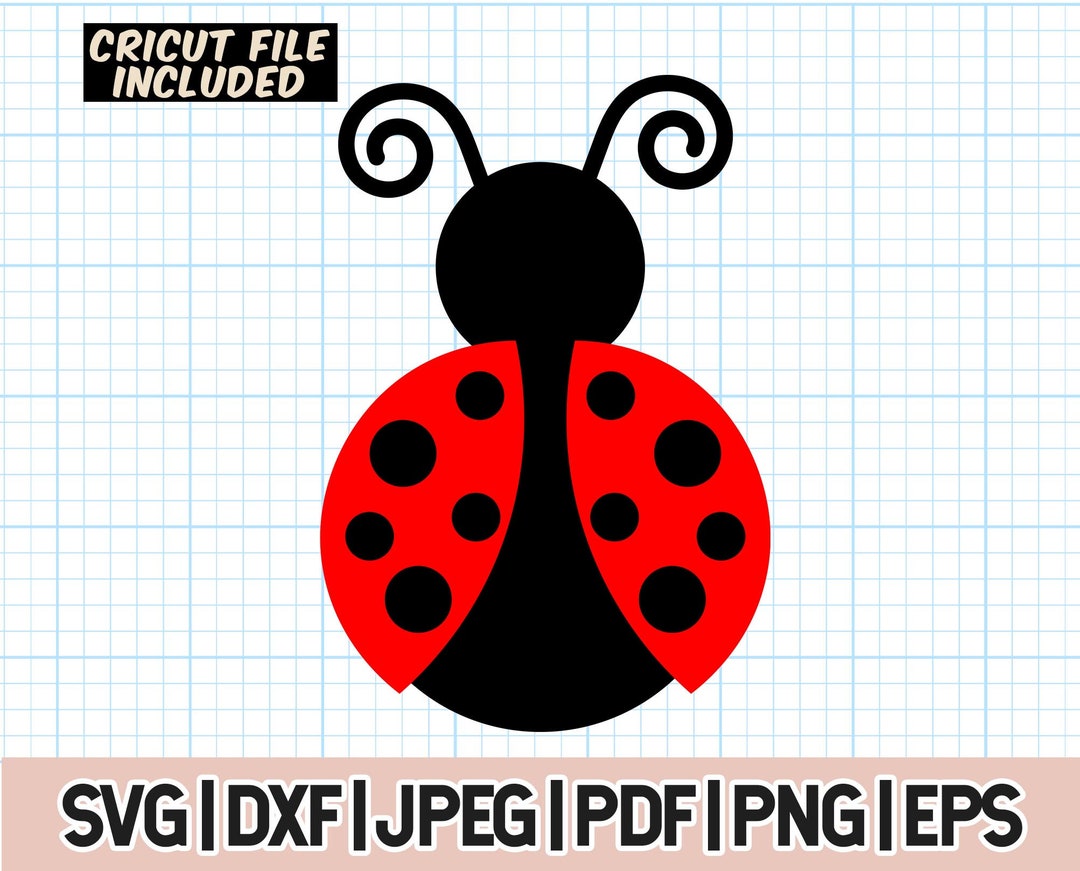 Ladybug SVG, Insect SVG Layered - Etsy
