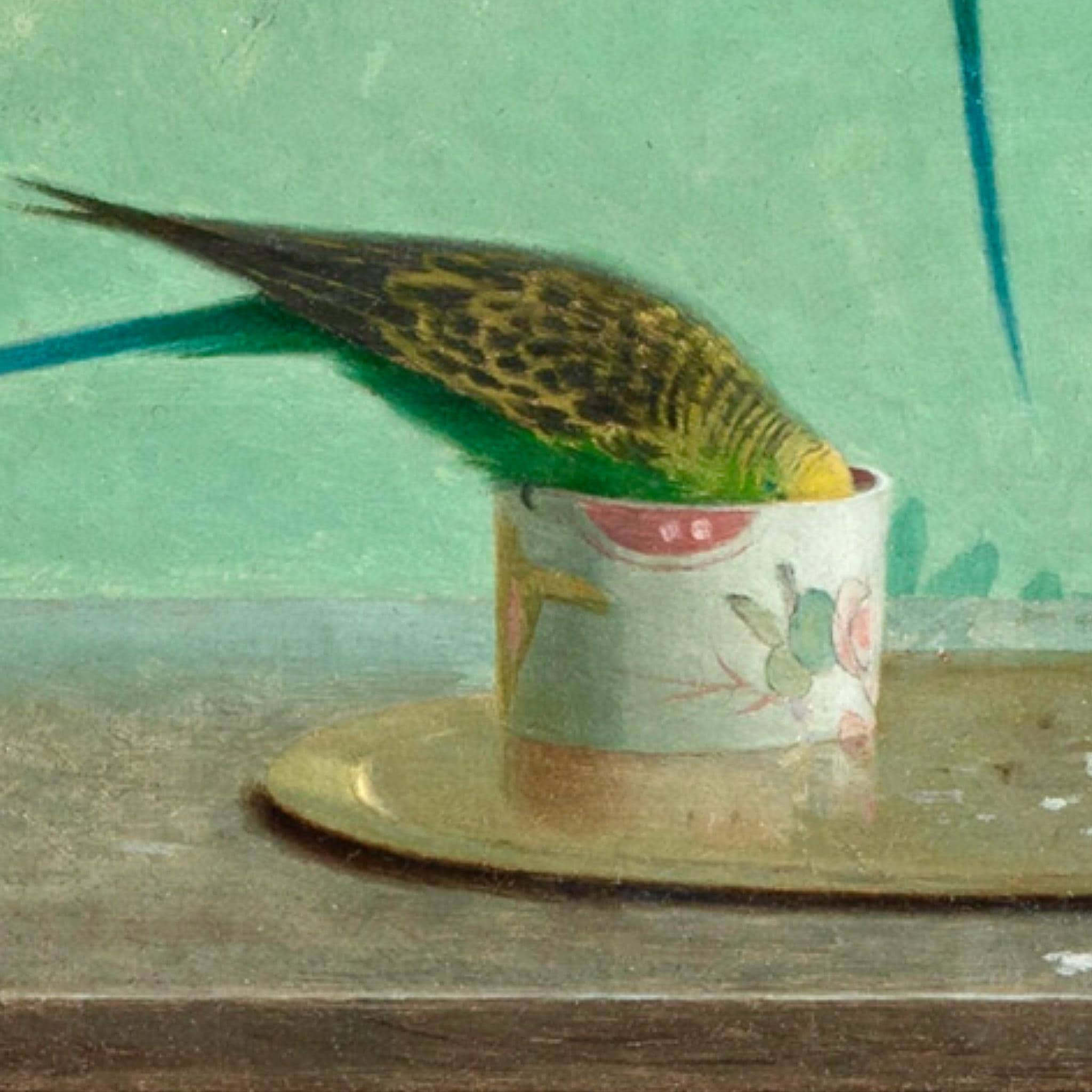 The Parakeet Ring, Vintage Parakeet Budgie Art, Parrot Art Print ...