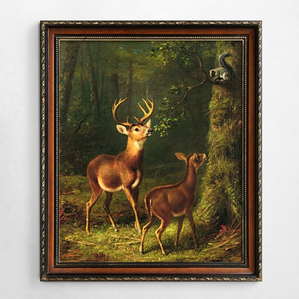 Forest Animal Art - Etsy
