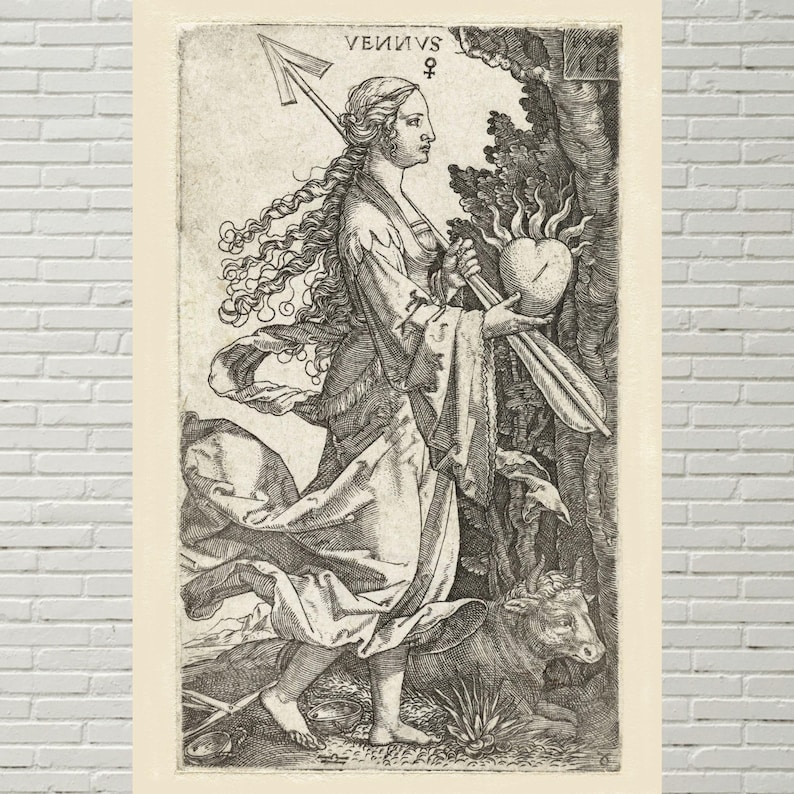 Venus, Goddess Art Print, 16th Century Renaissance Engraving Art Print ...