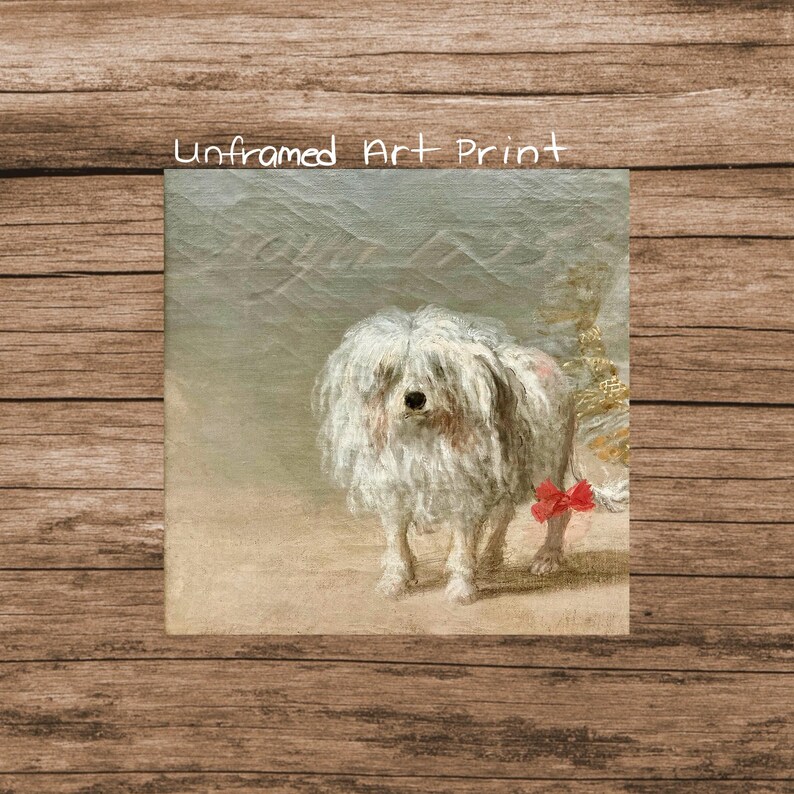 Antique Little White Dog Art, Maltese or Bijon Frise, 18th Century ...