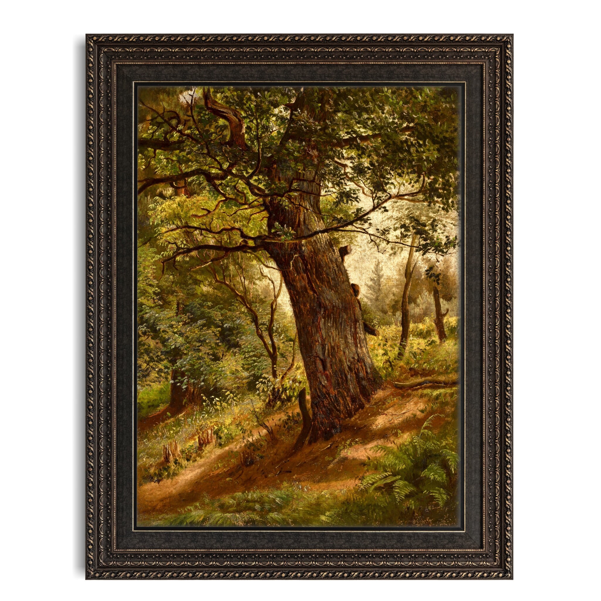 Study of a Tree, Painting of a Large Old Tree, Woodland Art Print ...