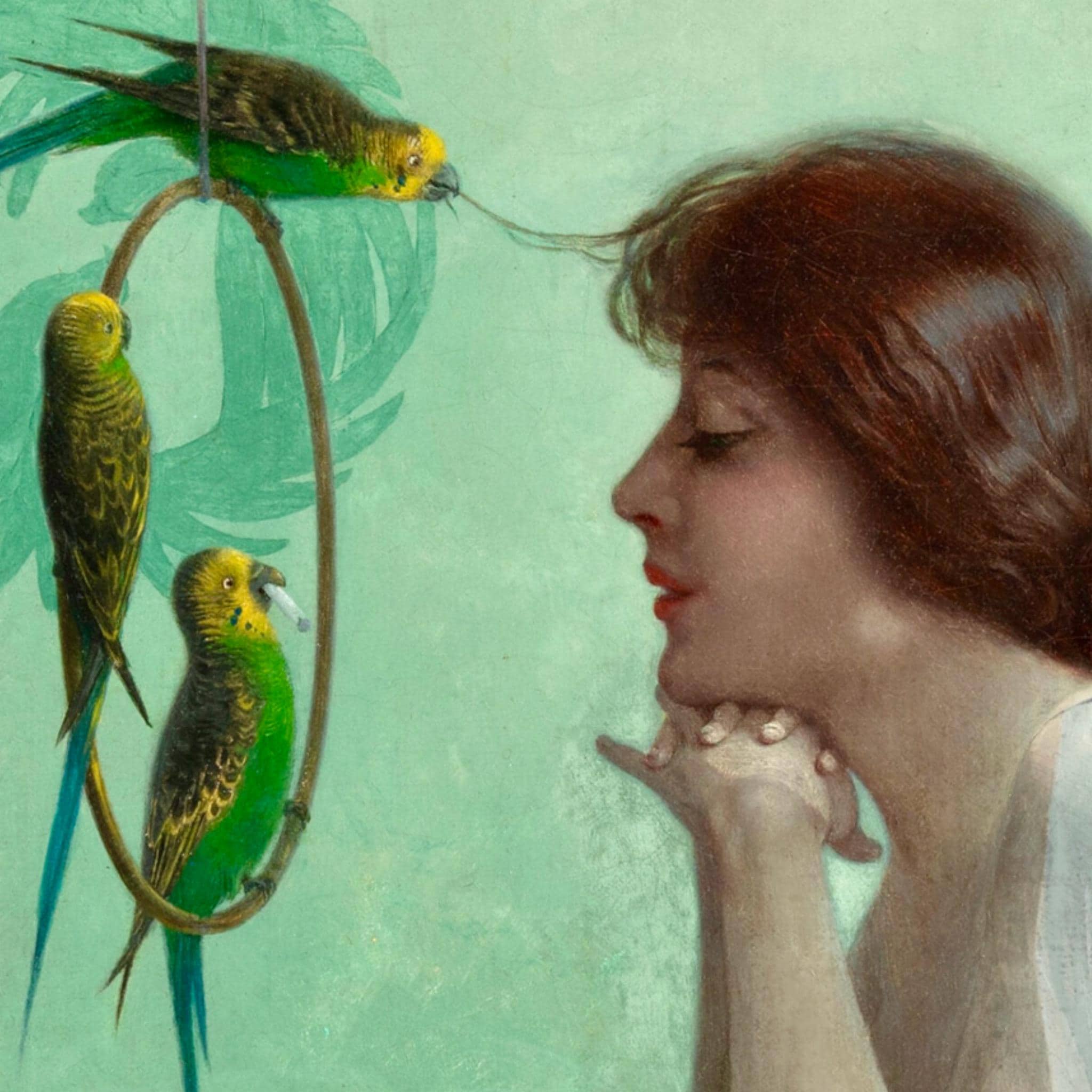 The Parakeet Ring, Vintage Parakeet Budgie Art, Parrot Art Print ...