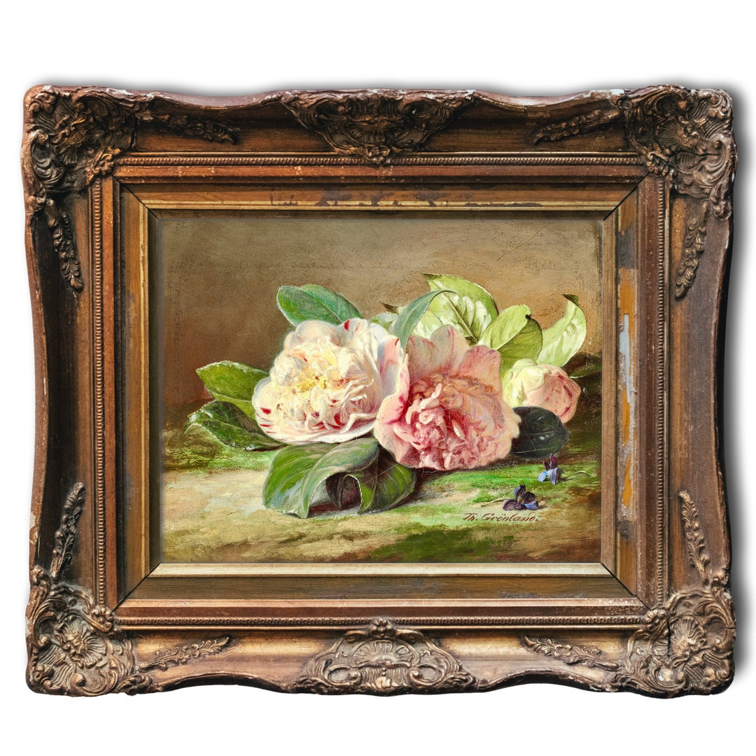 Camellia Blooms Still Life Art Print, 19th Century Painting of Pink ...