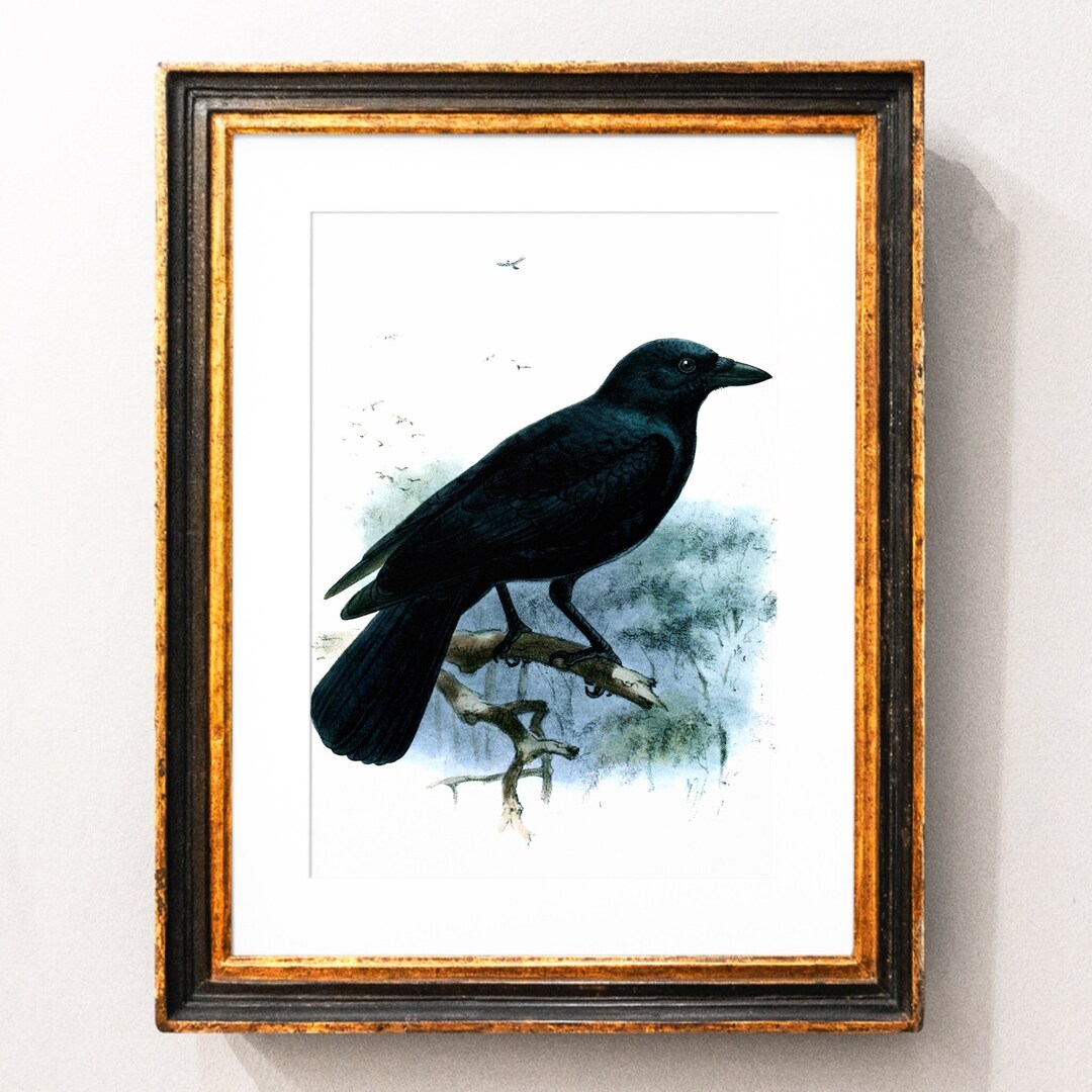 Antique Vintage Crow Print, High Quality Art Print, Gothic, Dark ...
