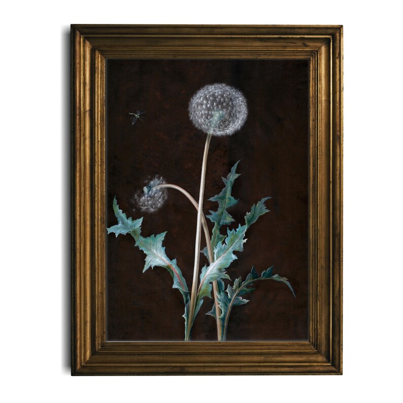 Antique Dandelion Still Life Painting Dark Unusual Still - Etsy