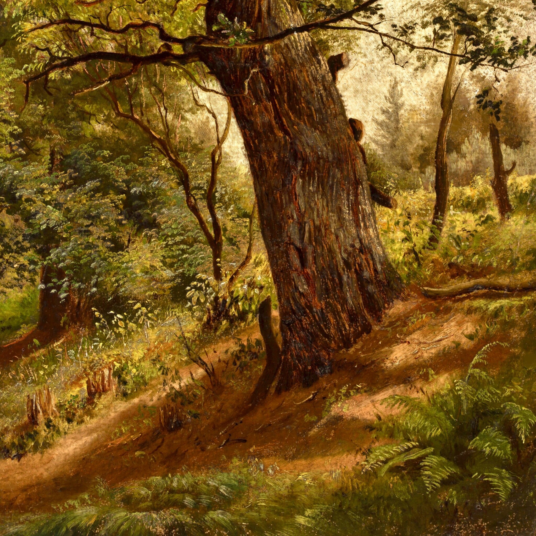 Study of a Tree, Painting of a Large Old Tree, Woodland Art Print ...