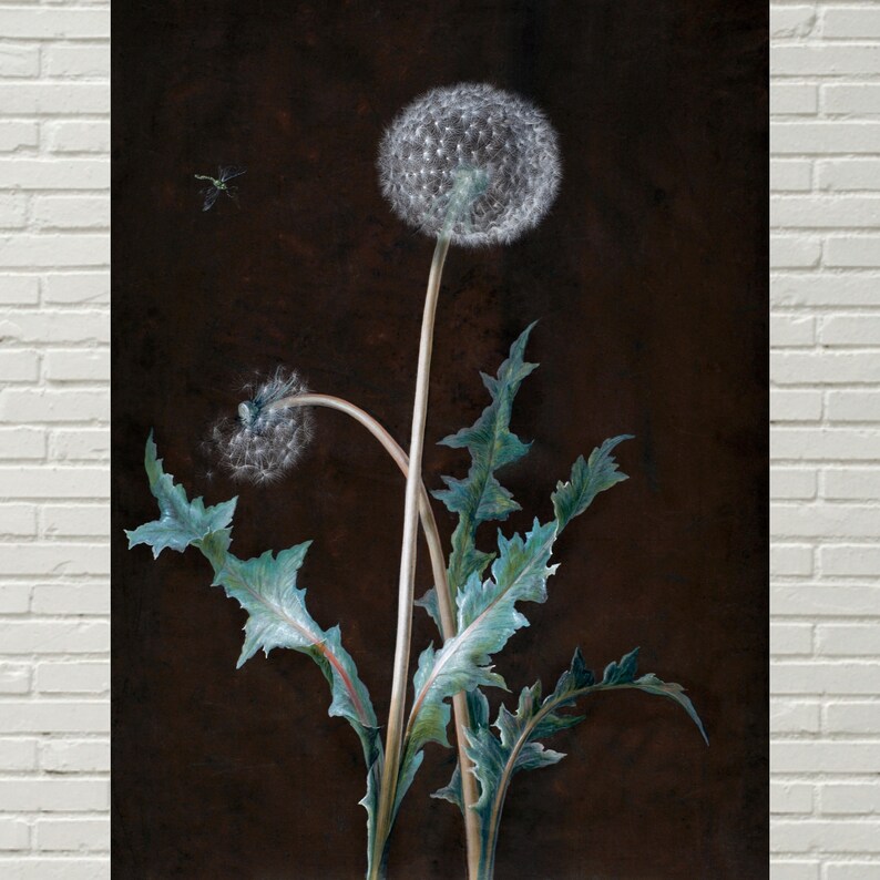Antique Dandelion Still Life Painting, Dark Unusual Still Life, High ...