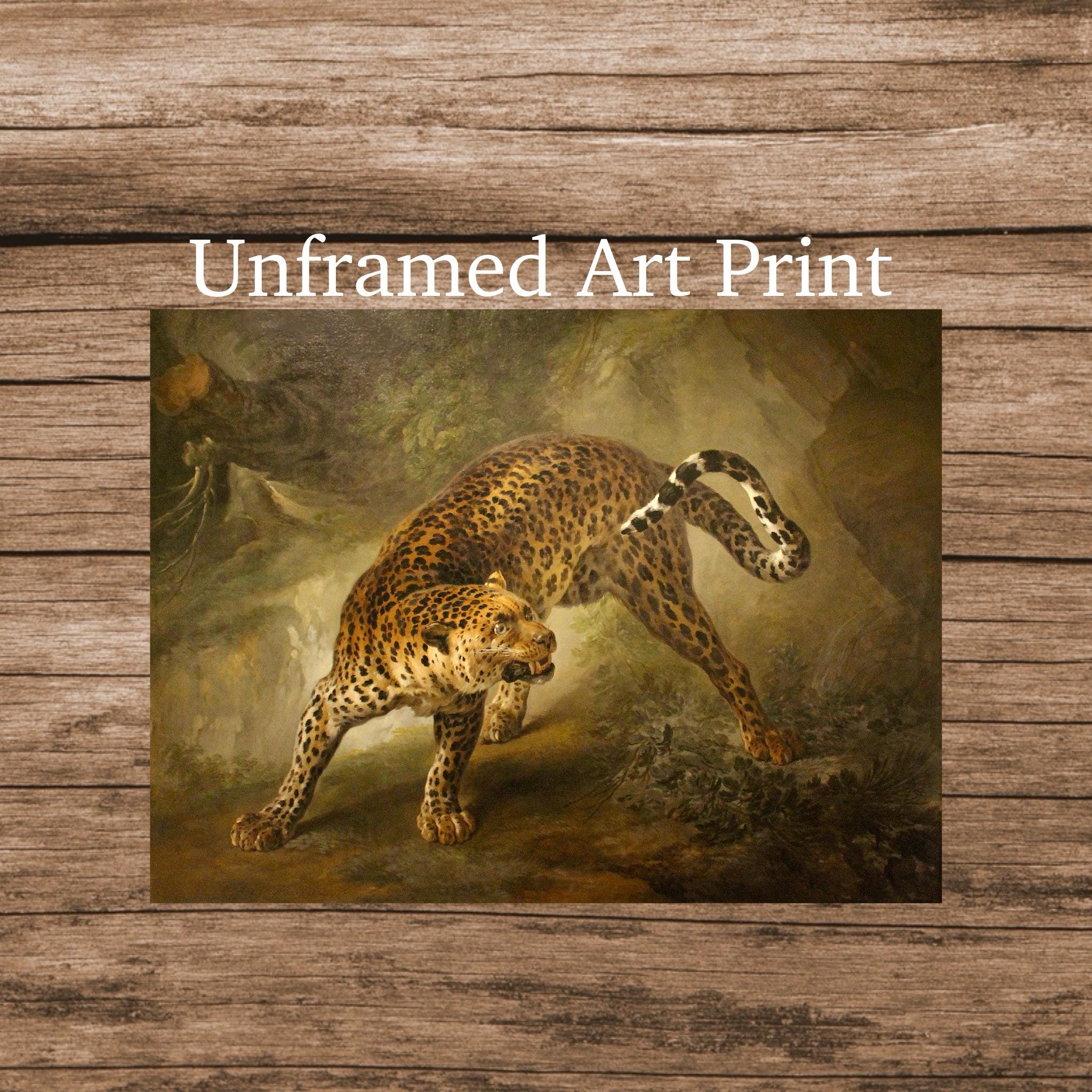 18th Century Leopard Painting Art Print, Leopard Decor, 1700s Art ...