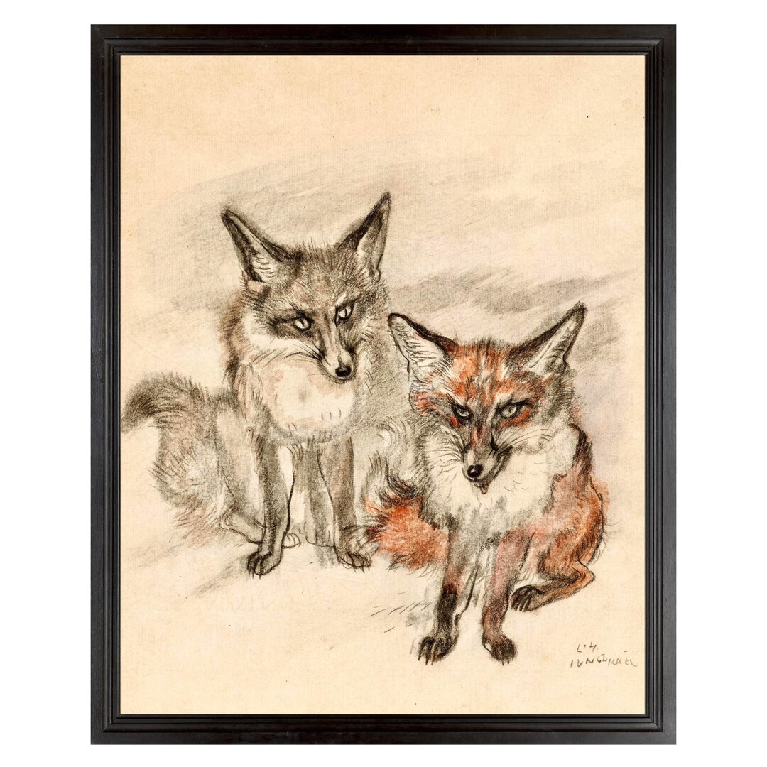 Two Cheeky Foxes, Vintage Antique Fox Drawing, Woodland Animals Art ...