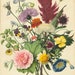 Renaissance Flowers Still-life, Bouquet With Garden Flowers, Shabby ...